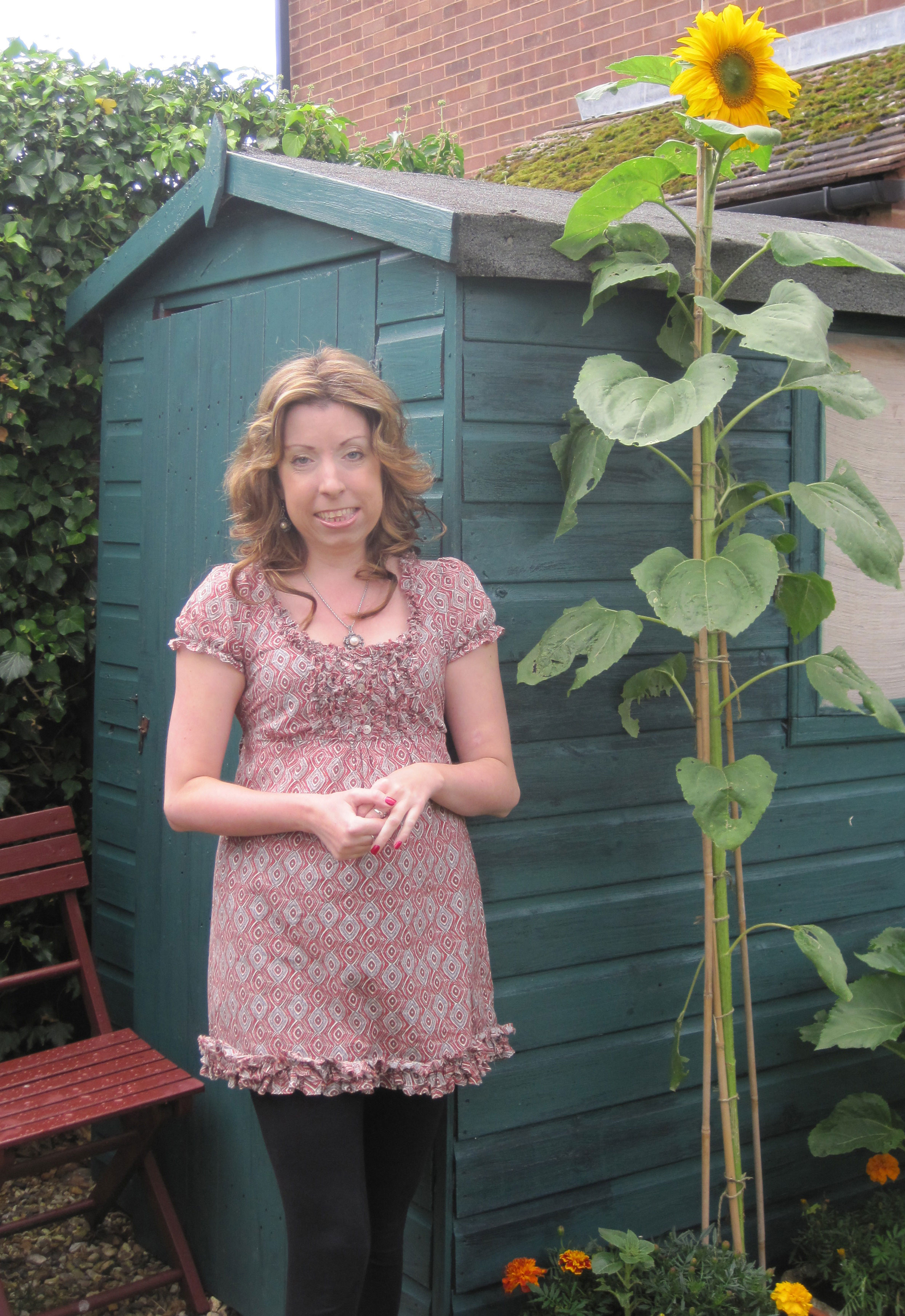 How it all began – The Big Sunflower Project